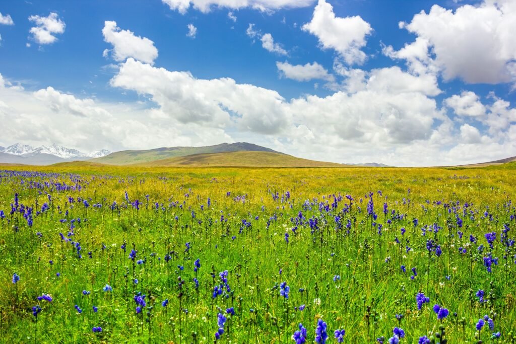 Exploring Deosai National Park Pakistan | The Geographics